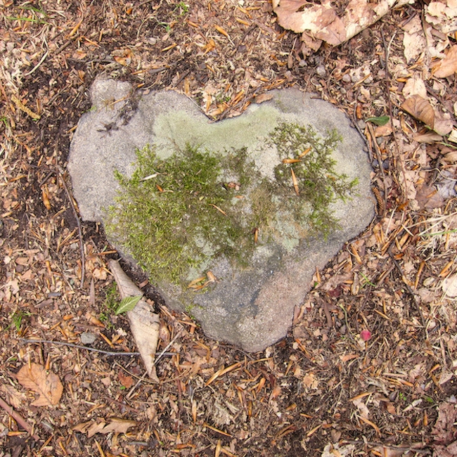 Platform for a Ghost - Candice Ransom